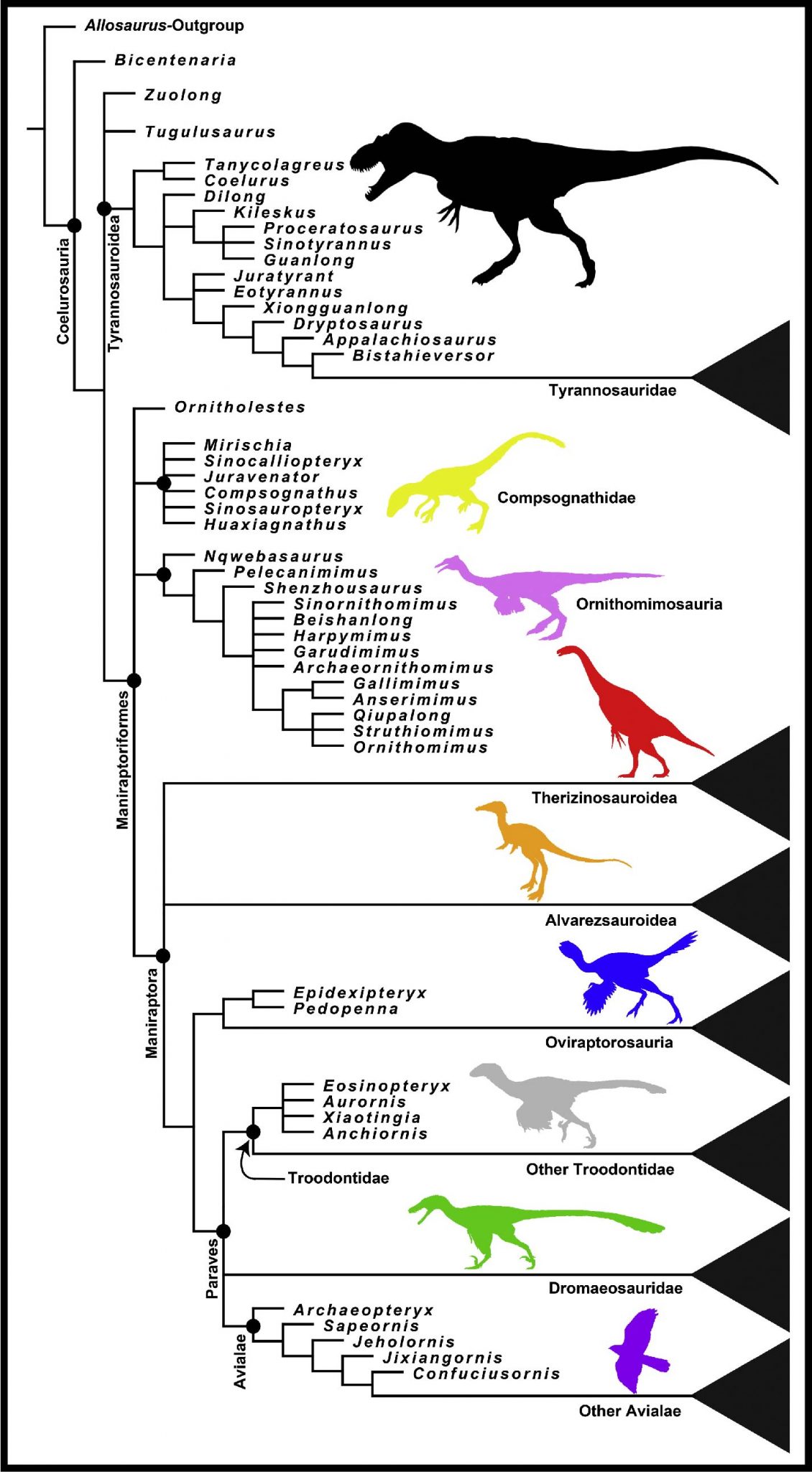 What came first: the chicken or the T. Rex? – Backyard Geology