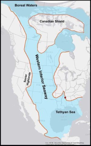 An unexpected trip into the Cretaceous – Backyard Geology