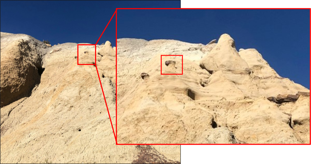 Running Through Time – Backyard Geology
